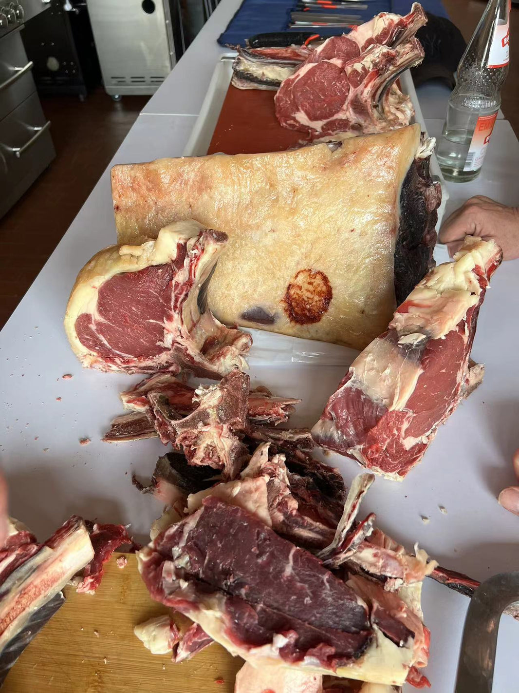 Dry Aging Cabinet – Cobalancelife